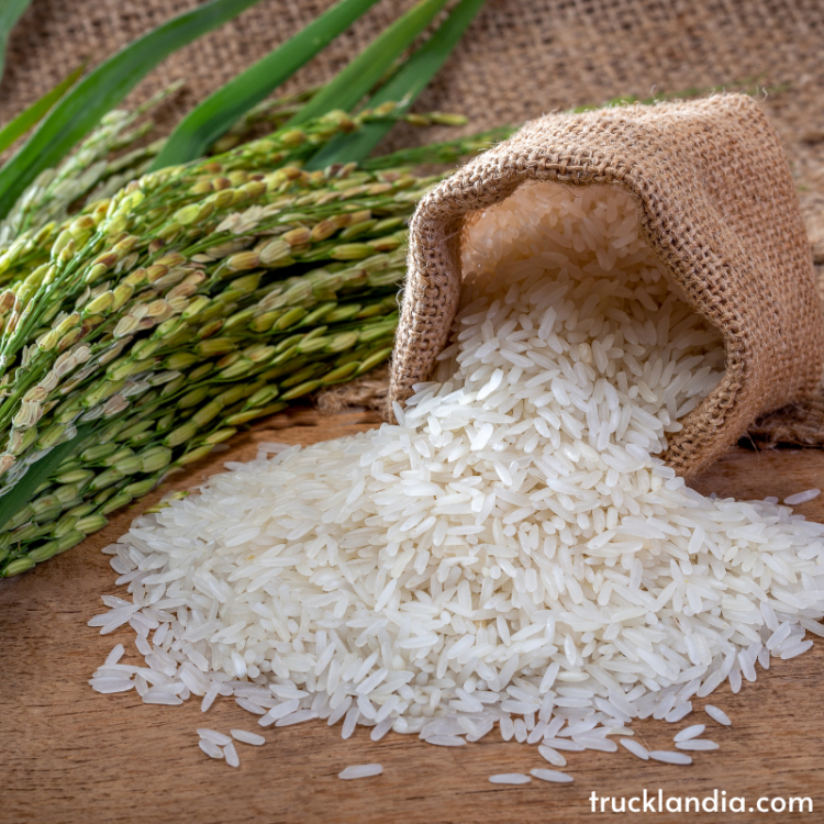 21. Rice Boss Co.