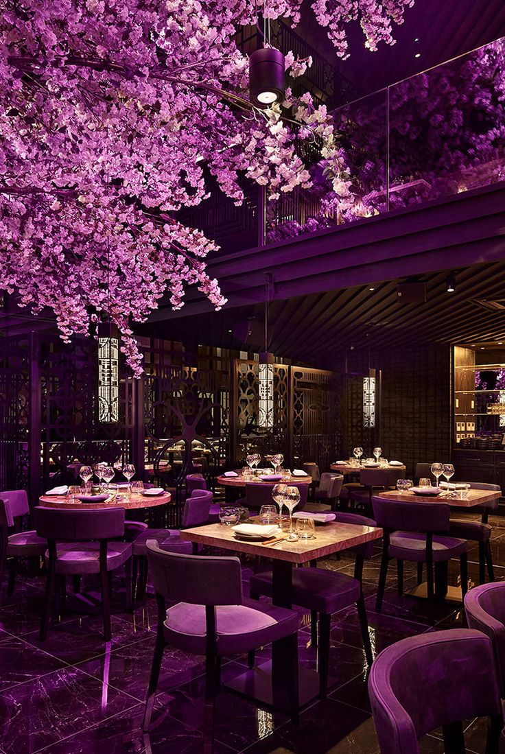 555 Fancy Restaurant Names : Elevate Your Dining Experience
