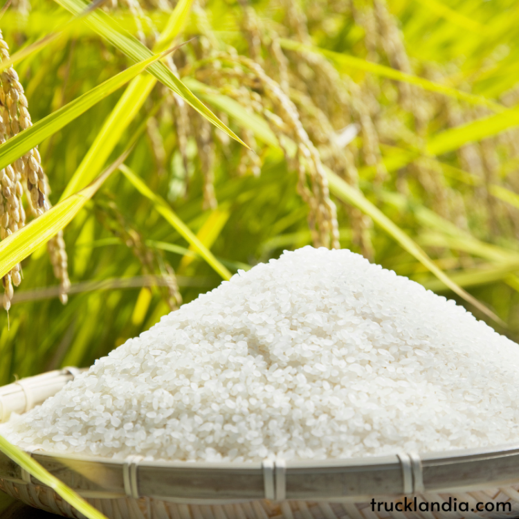 21. Rice Boss Co.