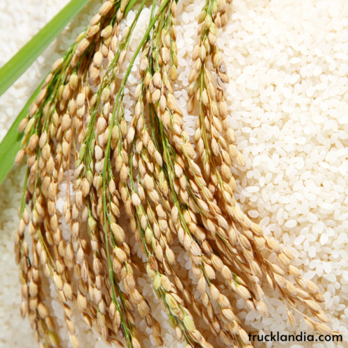 1. Golden Grain Co.